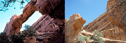 San Diego Rhinoplasty - Pinched Nasal Tip | Dr. Hilinski